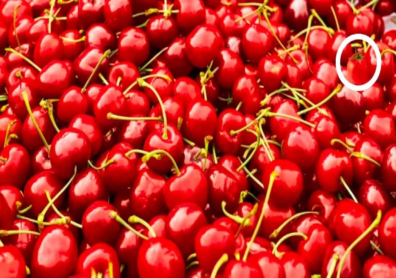 optical illusion test find hidden tomato in viral photo within 4 ...